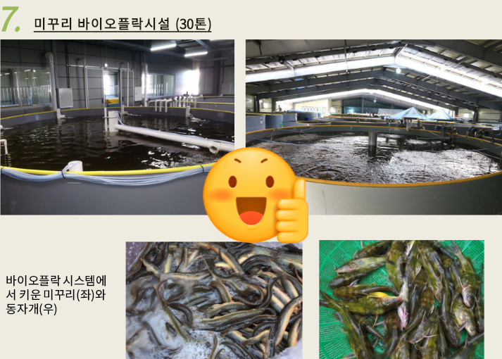 2중 수익 연봉 1억~ 2억 아쿠아포닉스 민물고기 실내양식장 수경재배사 운영 미꾸라지 새우 토하 장어 메기 실내양식