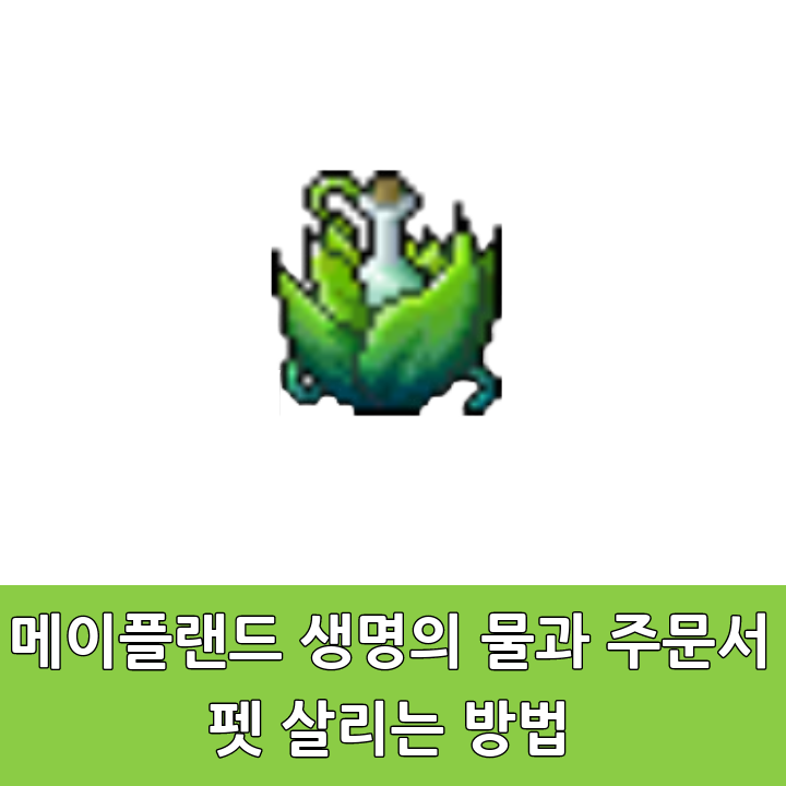 메이플랜드 생명의 물과 주문서 그리고 펫 살리는 방법 네이버 블로그