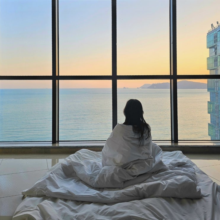 해운대 숙소 팔레드시즈 콘도 해수욕장 앞 6인 호텔 숙박 후기 네이버 블로그