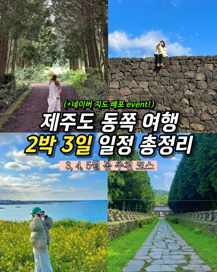 제주 2박3일 여행 코스 제주도 동쪽 3월 4월 봄 유채 벚꽃 명소 포함 네이버 블로그