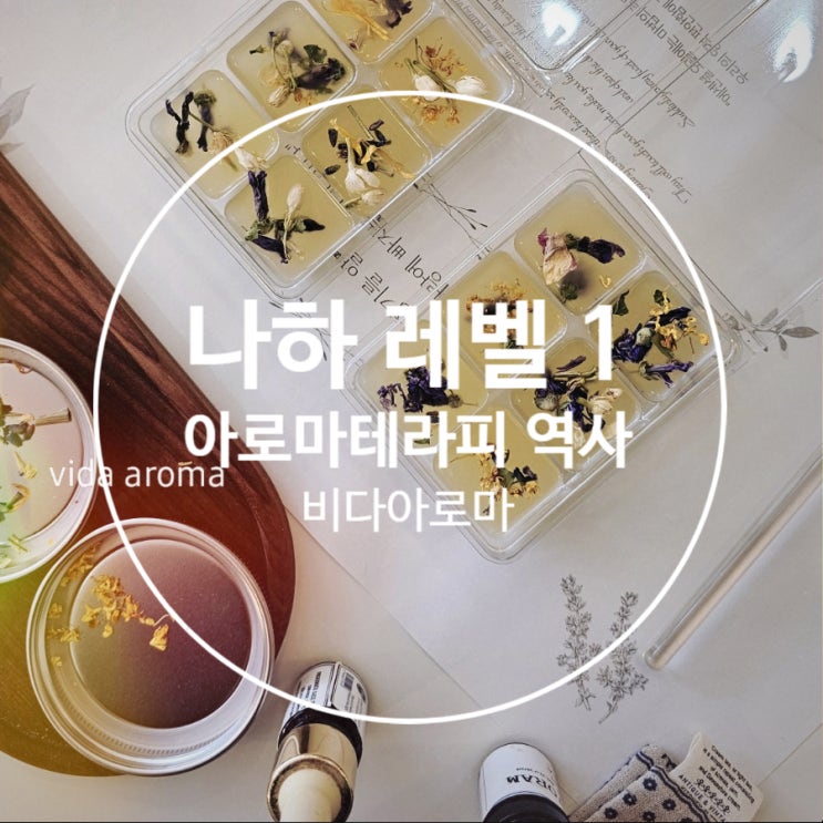 Icaa 영국아로마테라피센터 나하 창업반수업 비다아로마노원 창동 도봉 민락 중계 마들 동두천 연천 포천 양주 기업연수 외부출강