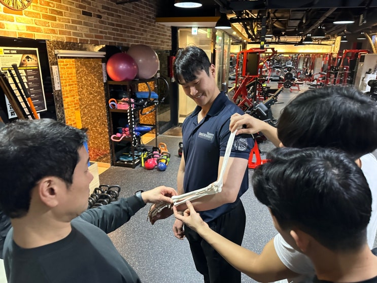 【명동헬스장】 【명동바디플렉스짐】 명동바디플렉스짐 정기교육 네이버 블로그