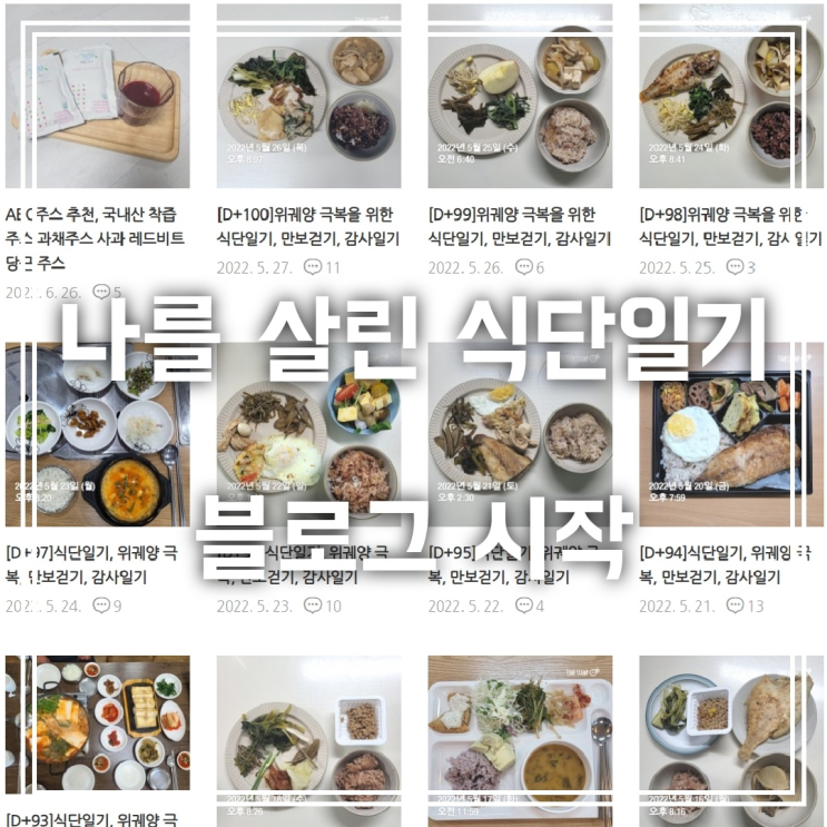 내가 블로그를 시작한 이유 그리고 2년이 지난 지금은 도서인플루언서 브런치작가 콜라북스 독서모임 리더 네이버 블로그