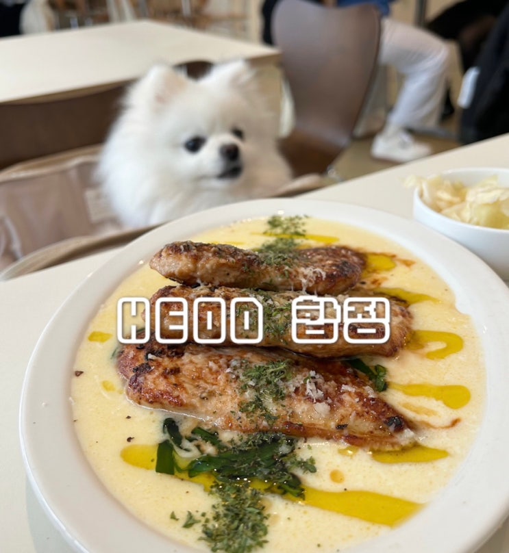 [서울 마포] 합정 애견동반 브런치 카페, 프렌치토스트 맛집 : HEOD 해옫 합정 : 네이버 블로그