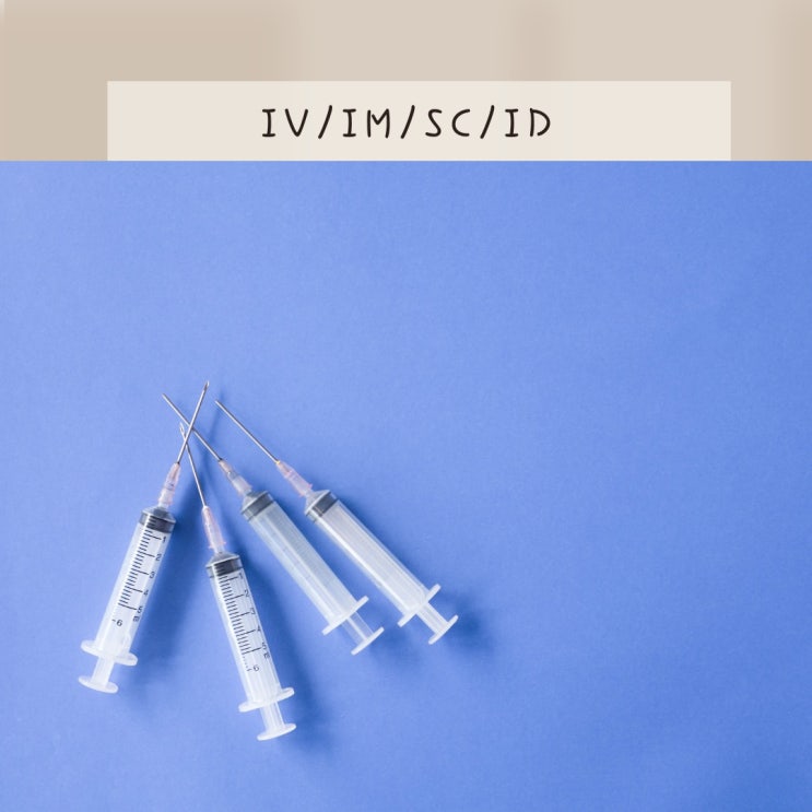 정맥주사 근육주사 피하주사 피내주사 놓는법 각도 목적 판독 주의사항 합병증 정리 네이버 블로그