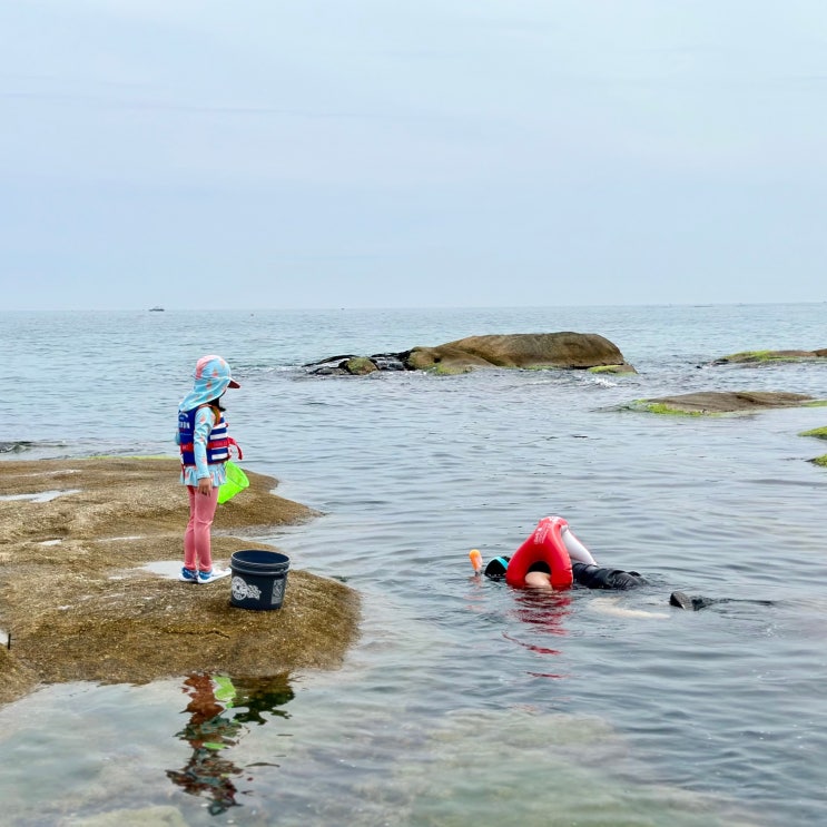 강원도 속초 고성 여행 아이와 함께 1일차 2일차 네이버 블로그