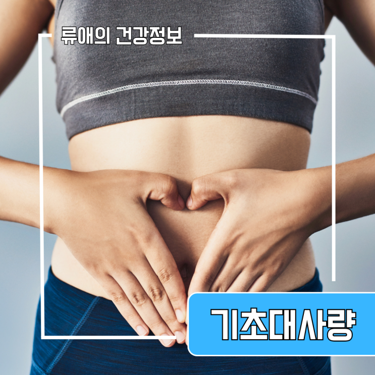 성인 여자 남자 기초대사량 수치 기초대사량높이는방법 네이버 블로그
