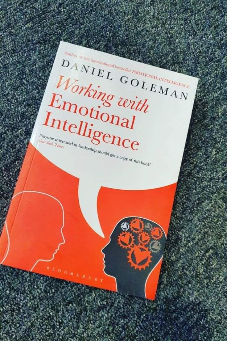 10 lessons from the book "Working with Emotional Intelligence" by ...