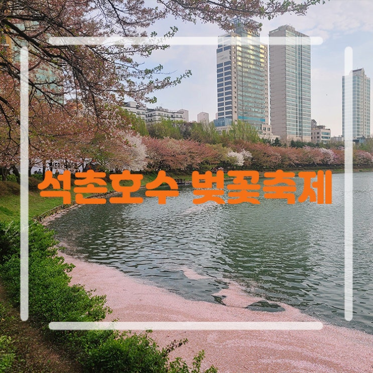 2024 석촌호수 벚꽃축제 기본정보 서울 잠실 벚꽃 명소 개화시기 네이버 블로그