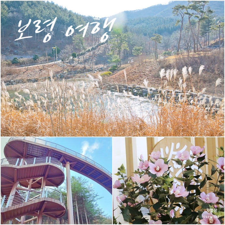 충남 보령 가볼만한곳 무궁화수목원 입장료 충남 아이와 가볼만한곳 목재문화체험장 스카이워크 네이버 블로그