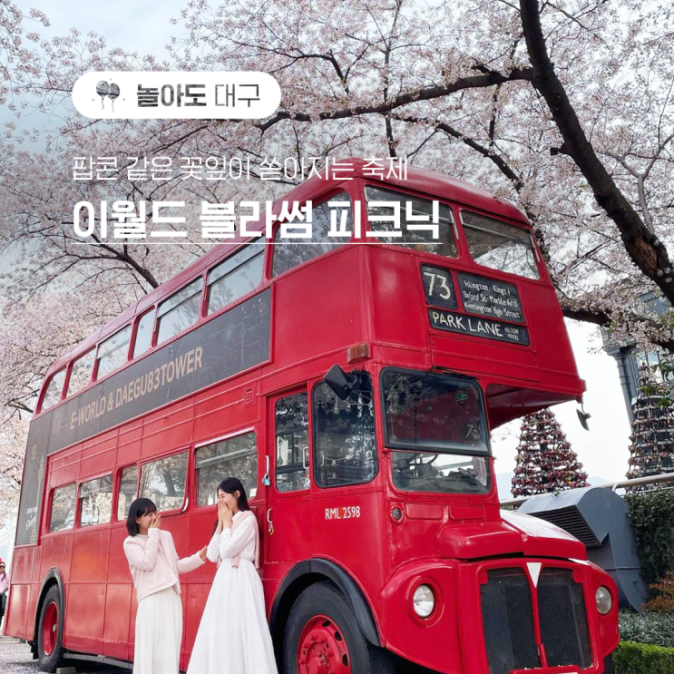 놀아도 대구 여기도 벚꽃 저기도 벚꽃대구 이월드 블라썸 피크닉 축제 네이버 블로그