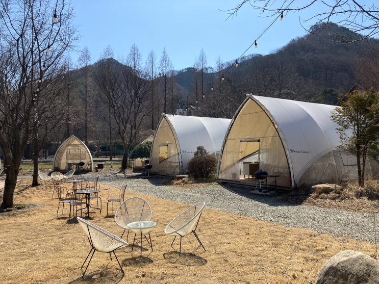 맛집 바베큐 논산 포레스트 캠핑 여름 수영장 삼겹살 글램핑 논산 맛집 Bbq 대전 근교 네이버 블로그