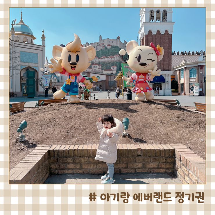 에버랜드 연간회원권 정기권 가격 아기 이용권 가족등록 주차요금 할인 정보 네이버 블로그