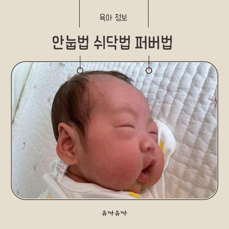 수면교육 아기 퍼버법 안눕법 쉬닥법 방법 성공 시기 부작용 종청리 분리 수면 성공 후기 네이버 블로그
