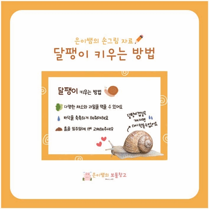 어린이집 유치원 달팽이 사료 및 키우는 방법 벽보자료 네이버 블로그