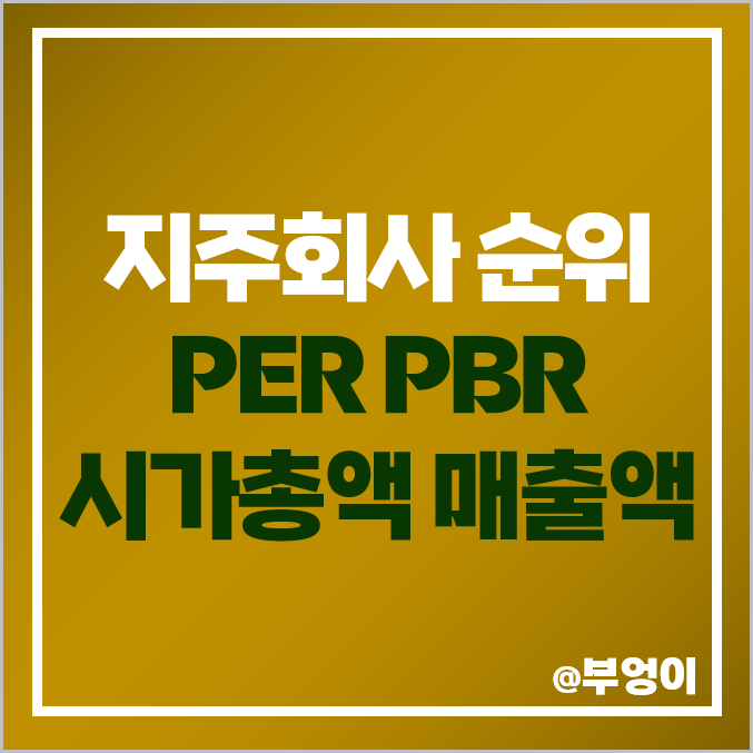 국내 지주회사 주식 시가총액 Per Pbr 매출액 영업이익 순위 네이버 블로그