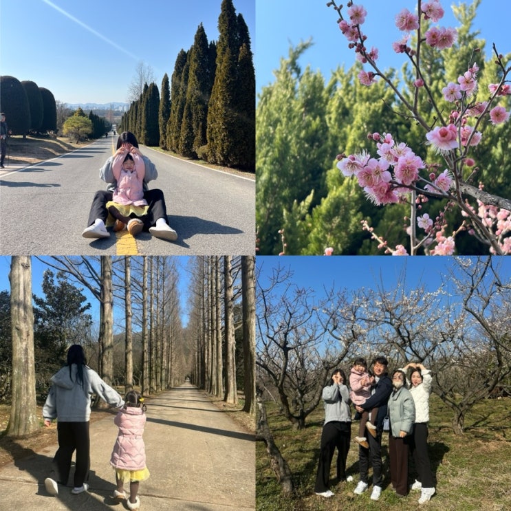 전남 나주 나주 가볼 만한 곳 산림자원연구소 치유 광장 포토존 공기 맑은 산책코스 입장비 무료 네이버 블로그