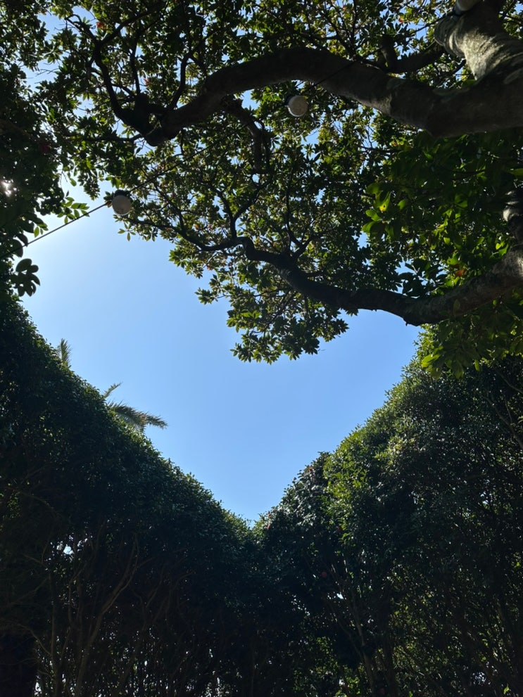 투자에도 철학이 필요하다 : 네이버 블로그