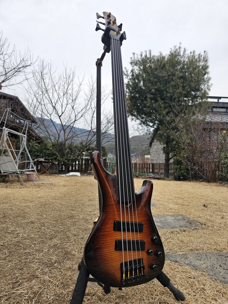 로스코 LG-3005 플렛 리스 5현 베이스 기타 ROSCOE FLETLESS 5STRING BASS USA : 네이버 블로그