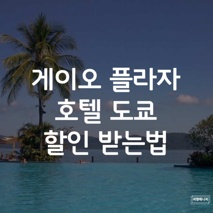 게이오 플라자 호텔 도쿄 수영장 조식 위치 팁 네이버 블로그