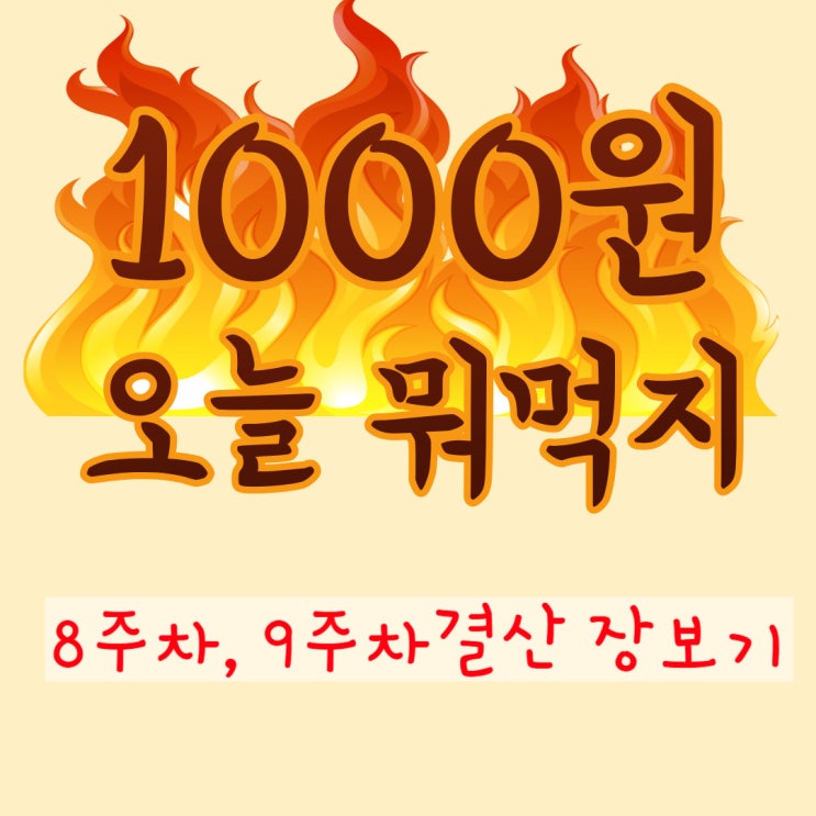 100일 도전 천원으로 오늘 뭐먹지 - 8주,9주차결산 : 네이버 블로그
