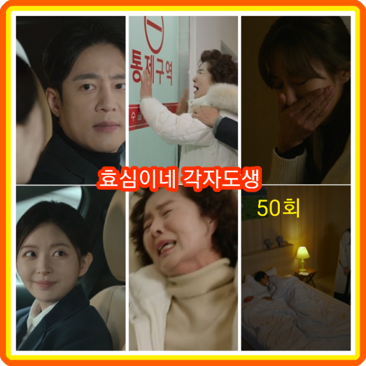 효심이네 각자도생 50회 줄거리 리뷰 결말 50화 태호 문자 보며 눈물 떨구는 효심 51회 예고 유이 하준 김비주 드라마 재방송 시청률 태민 숙향 태희 이추련 KBS2 몇 ...