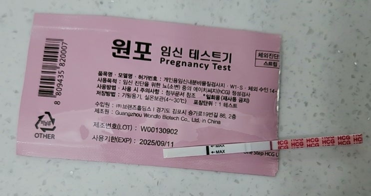 첫 번째 임신 준비 시도 임테기 배란 10일차 11일차 12일차 13일차 14일차 15일차 16일차 배란 증상 임신 테스트기