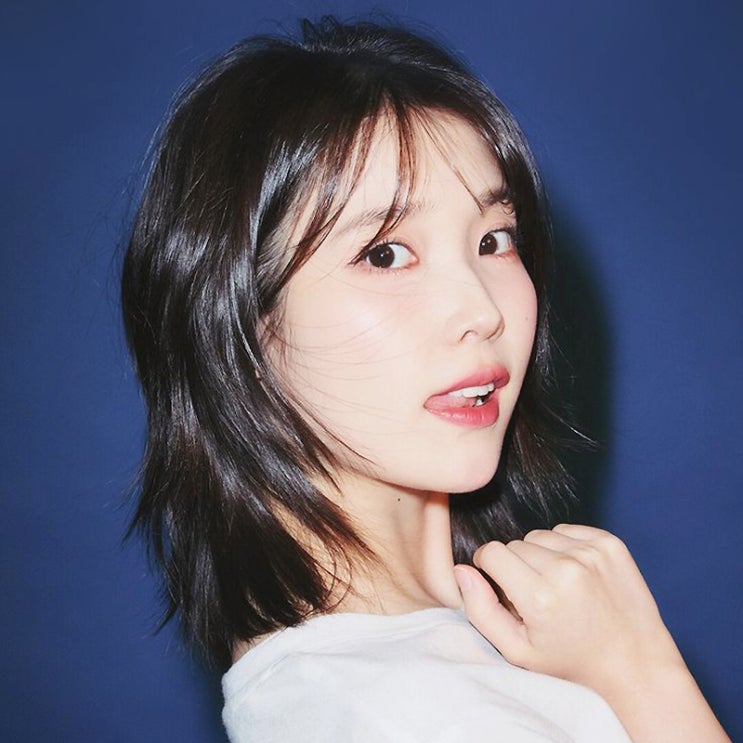 중단발 허쉬컷 웬디머리, 아이유 중단발 얼굴형 보완 레이어드컷 : 네이버 블로그
