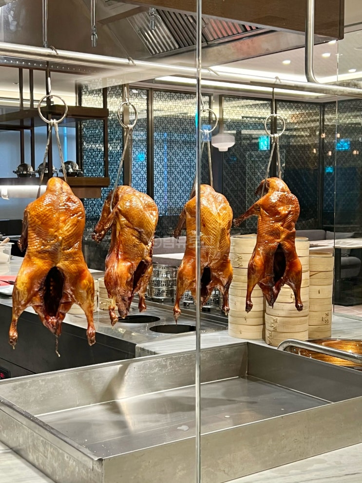 대구 동대구역 맛집 대구 메리어트 동문이스트게이트 베이징덕 북경오리 칠리소스 중새우 Xo 게살 볶음밥 디너