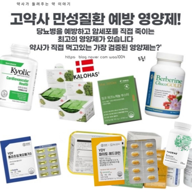 고약사가 먹고있는 만성질환 예방 영양제 정보 숙성마늘 베르베린 커큐민 피크노제놀 덴마크 그린케일 오메가3~ 네이버 블로그