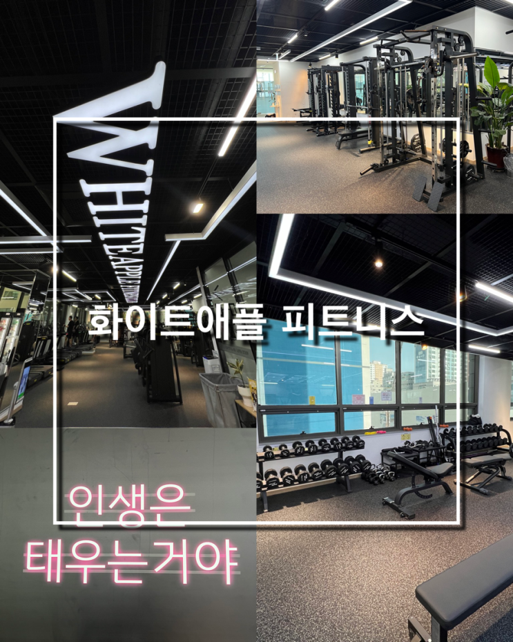 울산 남구 무료개방 방문 호텔급 헬스장 화이트애플 피트니스 네이버 블로그