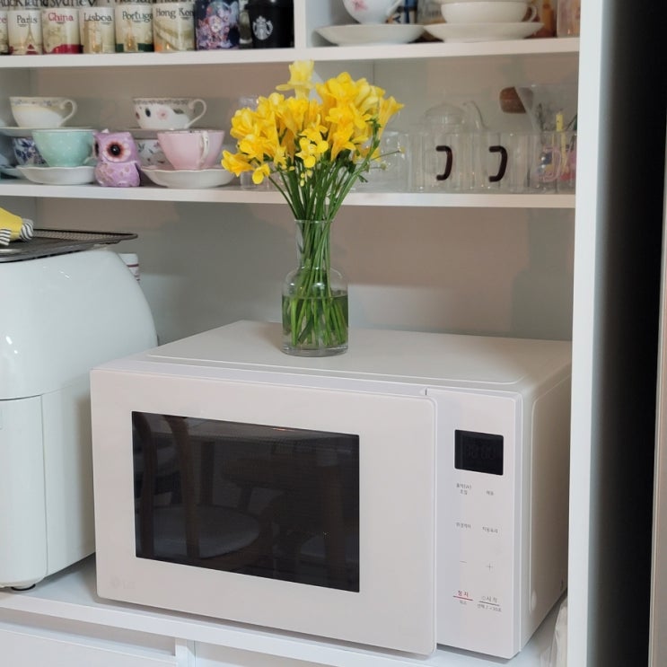 LG 오브제 전자레인지 MWJ23E 내돈내산 후기 MW23WD와 비교 : 네이버 블로그