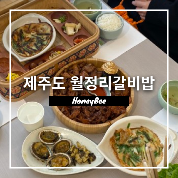제주도 여행 맛집 월정리갈비밥 내돈내산 후기 주차장 웨이팅 네이버 블로그