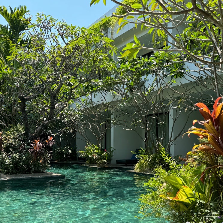 캄보디아 자유여행 숙소 추천 수영장 호텔 에잇폴드 어반 리조트 후기 Eightfold Urban resort : 네이버 블로그