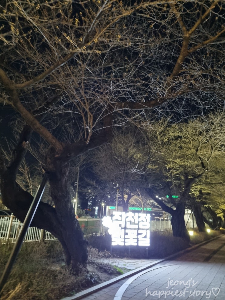 울산 벚꽃 명소 강아지 산책 코스 2024 울주 언양 작천정 벚꽃축제 일정 기간 네이버 블로그
