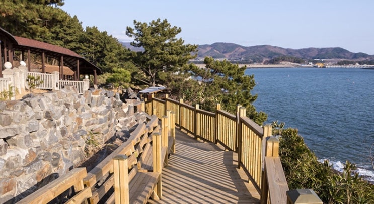 보령 죽도 상화원 입장료예약숙박 가족여행 가볼만한곳맛집 네이버 블로그