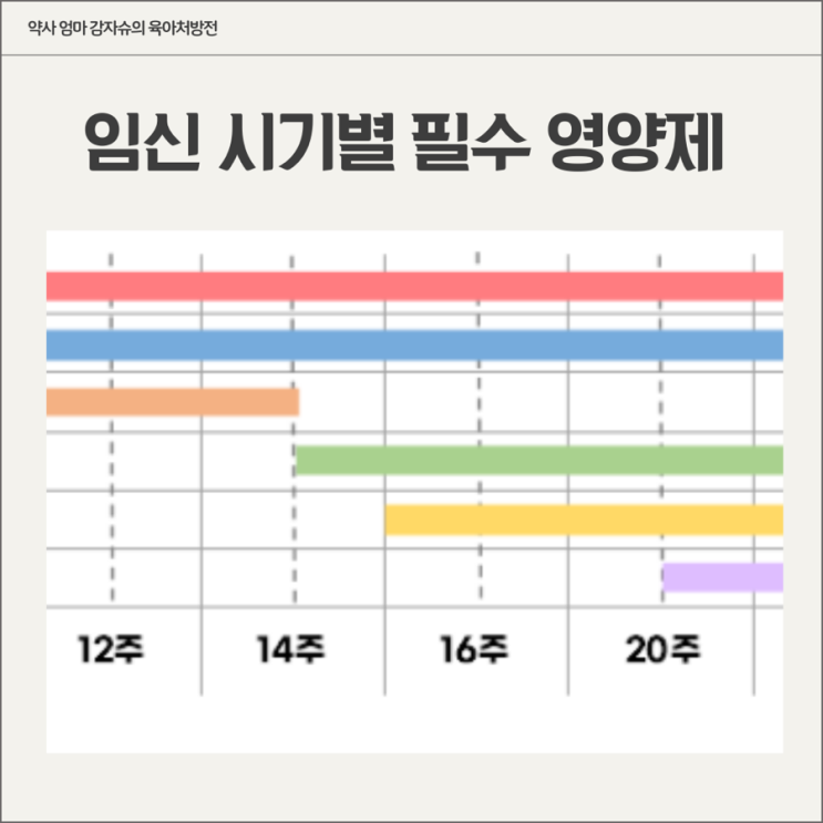 임신 초기 중기 후기 시기별 임산부 필수 영양제 가이드 및 제품 추천 네이버 블로그