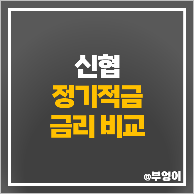 신협 정기적금 금리 비교 단기 6개월 이자 높은 적금 특판 추천 네이버 블로그