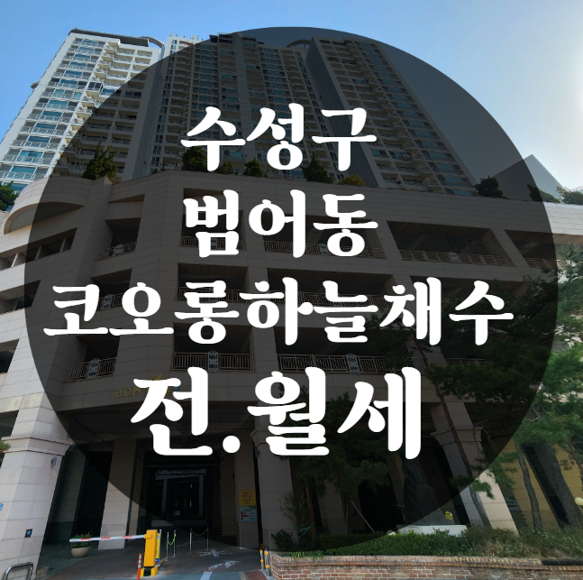 아파트 빌라 임대 B 114 수성구 범어동 코오롱하늘채수 51평 대형평수 전세 범어역역세권 네이버 블로그