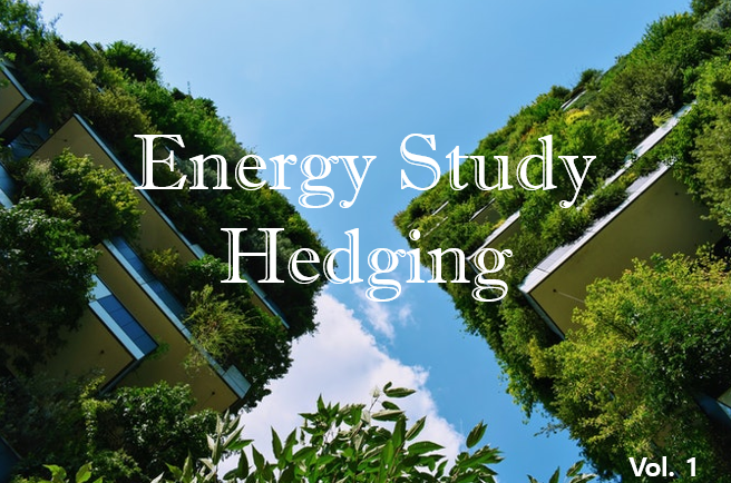 Energy Study - Hedging 1편 : 네이버 블로그