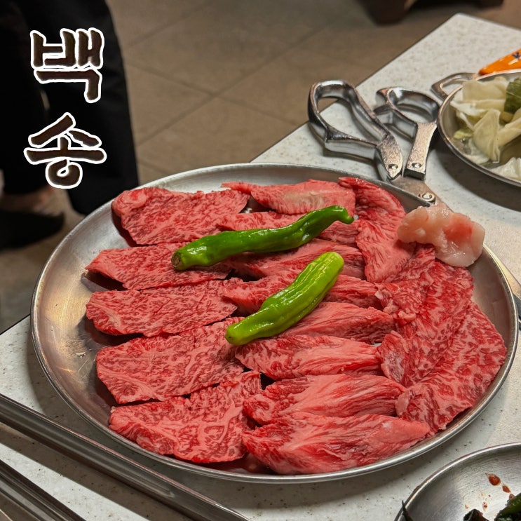 ♥ 신당 백송 본점 한우 소고기 회식하기 좋은 서대살 짝갈빗살 맛집 네이버 블로그