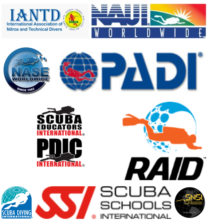 프리&스쿠버 다이빙 PADI 회원 가입 (계정 생성) 안내 : 네이버 블로그