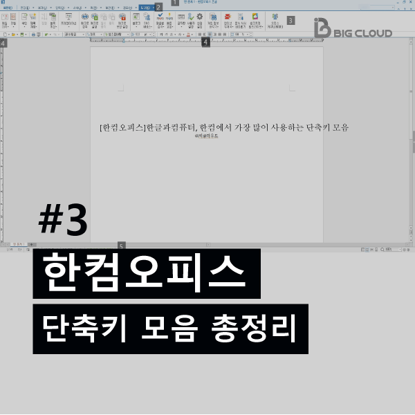 한컴오피스 한글과컴퓨터 한컴에서 가장 많이 사용하는 단축키 모음 네이버 블로그