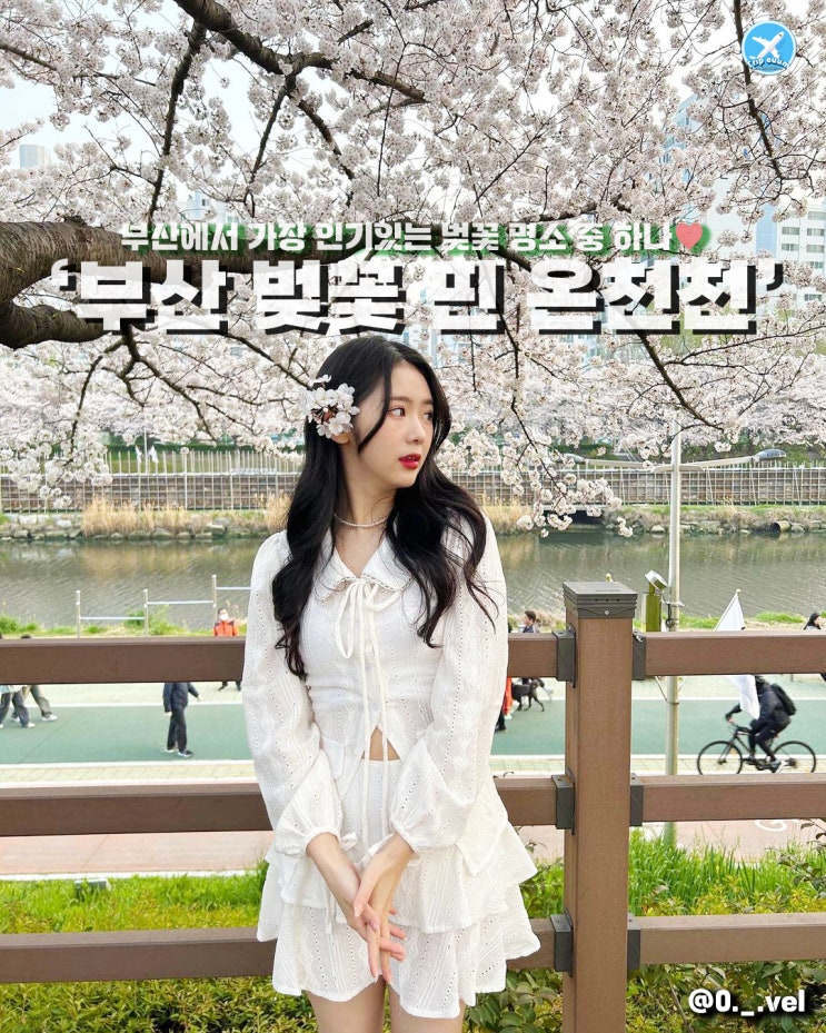 부산 가볼만한곳 대표 벚꽃 명소 핫플레이스 온천천 카페거리 및 축제일정 네이버 블로그