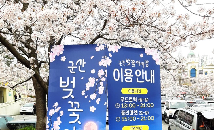 군산 벚꽃 축제 은파호수공원 벚꽃 야시장 스포츠힐링 런트립 네이버 블로그