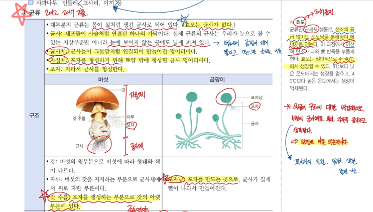 ♥초등임용고시 1차 시험 대비♥ ⑥ 과목별 효율적 공부 과학 교육과정기본이론각론 공부법 네이버 블로그