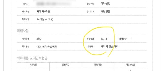 운전자보험 부상위로금 보험금청구 방법 메리츠화재삼성화재kb손해 청구팩스번호 등 네이버 블로그