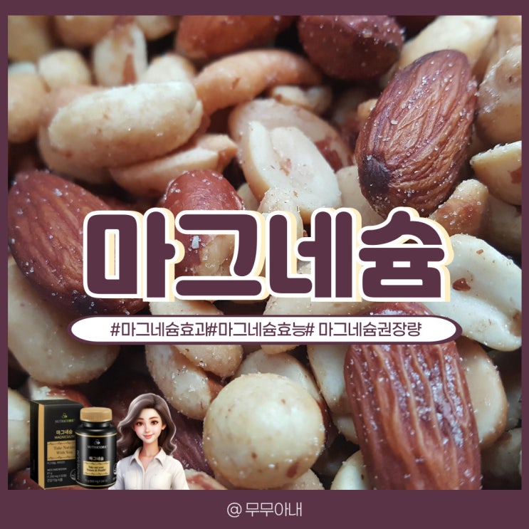마그네슘 효과 효능 하루권장량 채우는법 및 복용법 네이버 블로그