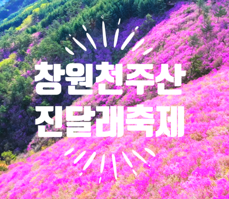 창원 천주산 진달래 축제 주차 최단 코스 등산 정보 모음 네이버 블로그