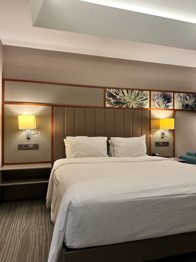 [이스탄불 여행] 악명 높은 터키항공_졸지에 이스탄불 여행, 터키항공 지연보상, EU261 : 네이버 블로그